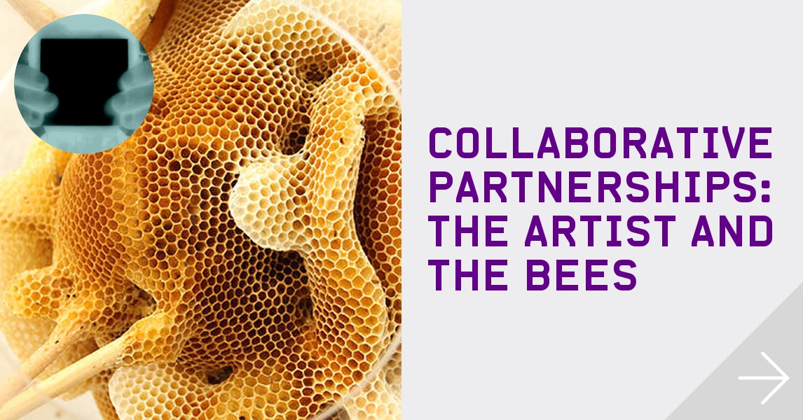 COLLABORATIVE PARTNERSHIPS: THE ARTIST AND THE BEES - TheMixxie