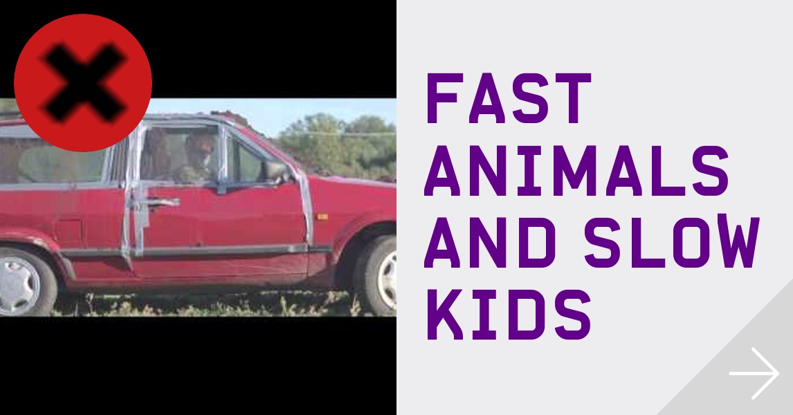 FAST ANIMALS AND SLOW KIDS - TheMixxie